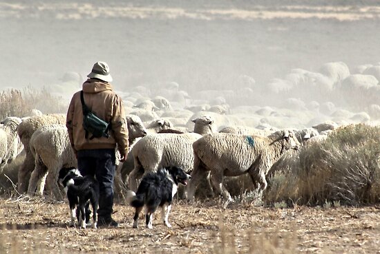 "On The Move" by Arla Ruggles | Redbubble