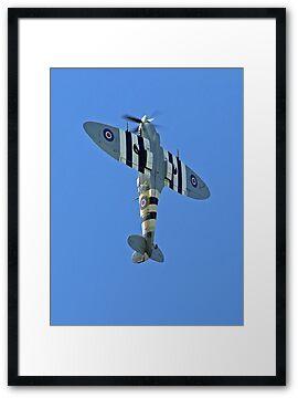 "Vertical Climb - Supermarine Spitfire IX – Kent Spitfire " by Colin ...