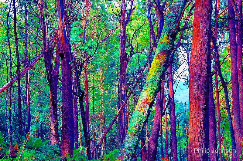 Trippy Mushroom Forest