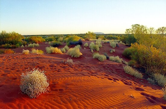 "Red sands of the outback , Australia" by Alberto DeJesus | Redbubble