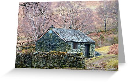 "Mountain Shack" by amylw1 | Redbubble