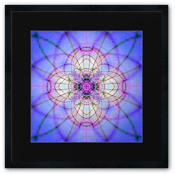 "LSD (Liquid Spider Dimension)" by Hugh Fathers | Redbubble