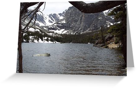 "The Loch Lake, Colorado R.M. National Park" by David Hughes | Redbubble