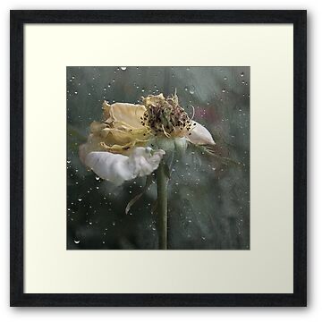 "Rust 'n Roses ~ No 19" by Rosalie Dale | Redbubble