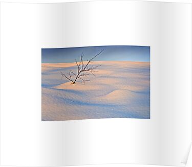 "In The Bleak Mid-Winter" by David Lewins | Redbubble