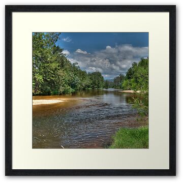 "Grose River, Navua Reserve" by Terry Everson | Redbubble