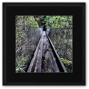 "Karri Tree Walk - Pemberton WA" by Bev Woodman | Redbubble